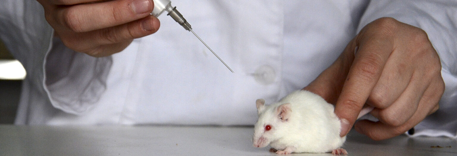 El debate ético sobre la experimentación animal: ¿Hacia un futuro sin ...